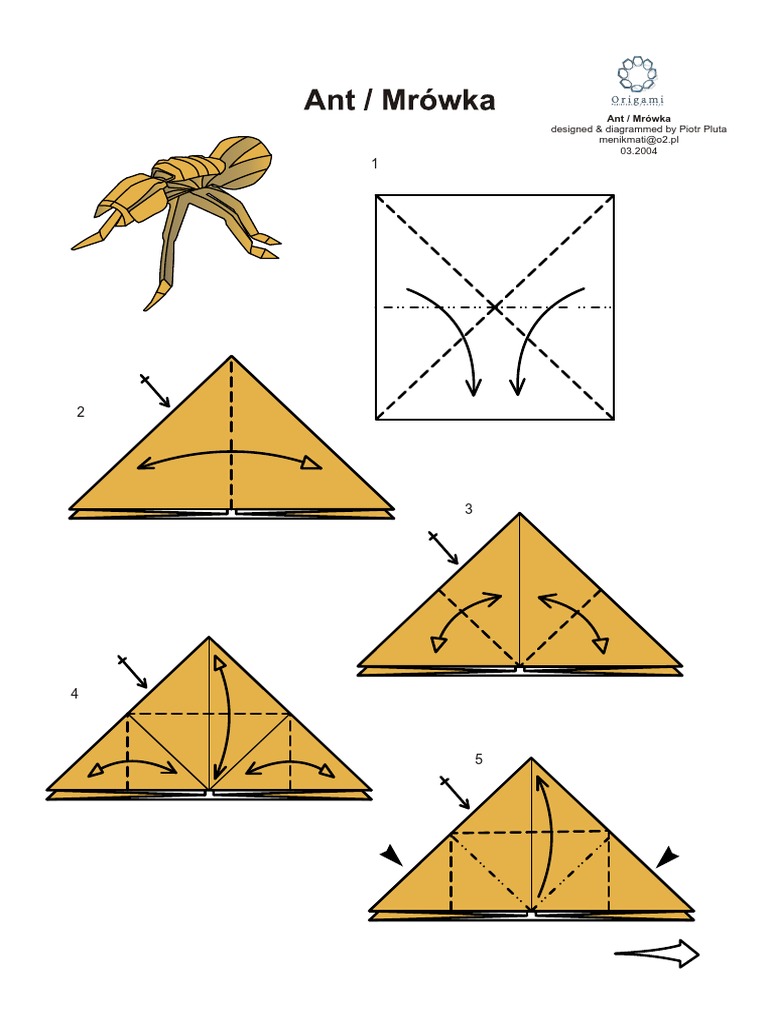 Aligator Origami | PDF | Ocio | Deportes