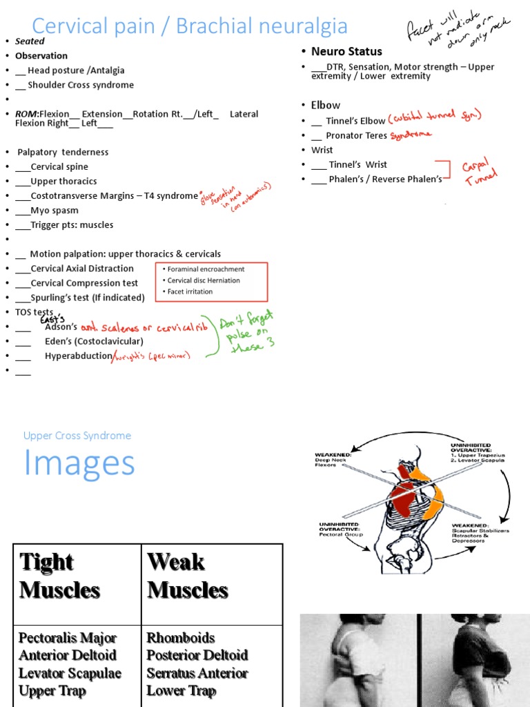 Cervical Pathologies | PDF | Fibromyalgia | Diseases And Disorders