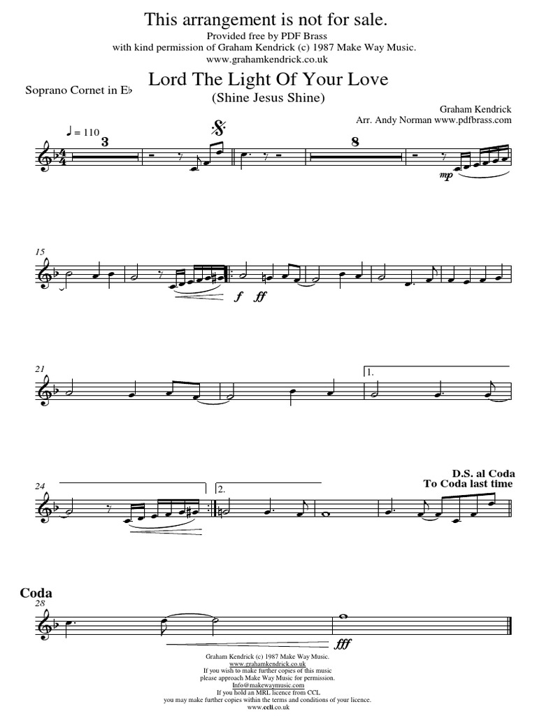 Shine PDF | PDF