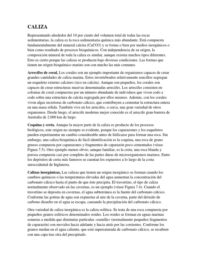 Tipos y formación de caliza y dolomía | PDF | Caliza | Calcita