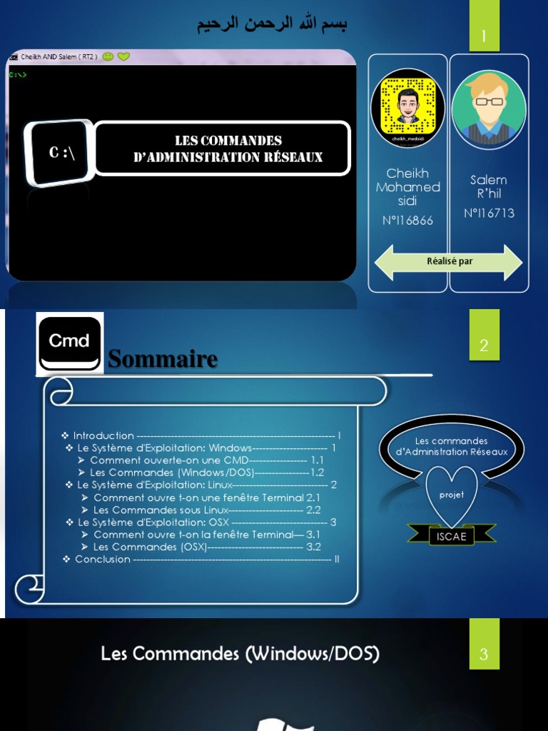 Projet Sur Les Commandes D'administration Des Réseaux | PDF | Système de noms de domaines | I Pv6