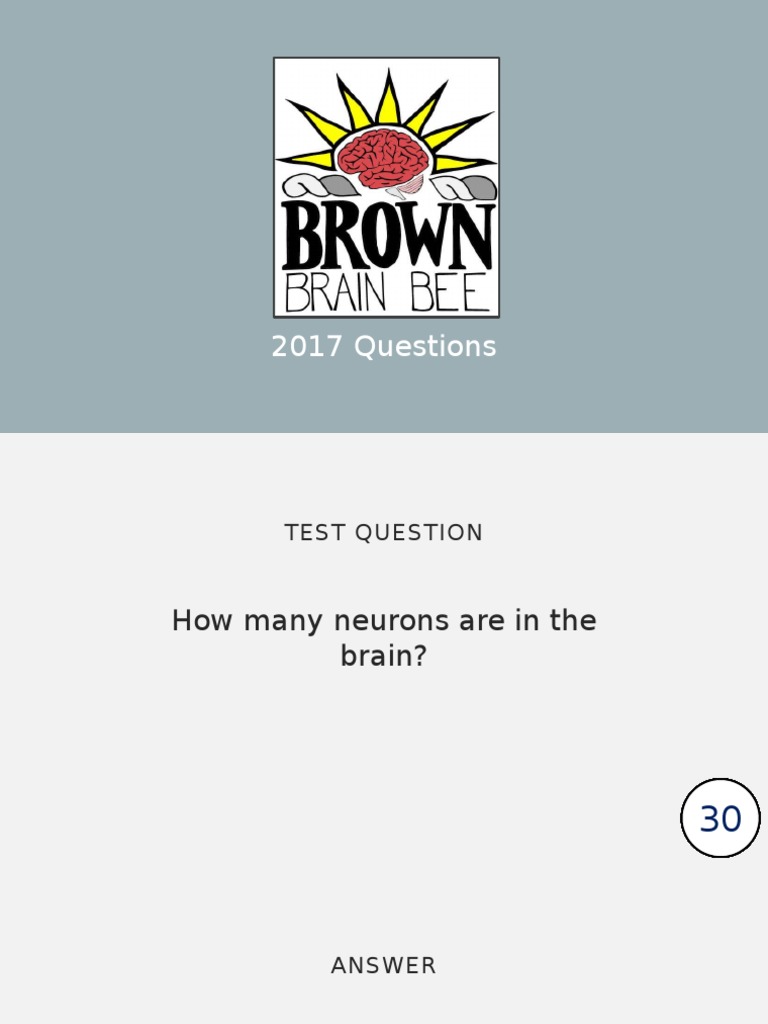 Brain Bee Competition Questions 2017 | PDF | Nervous System | Medical ...