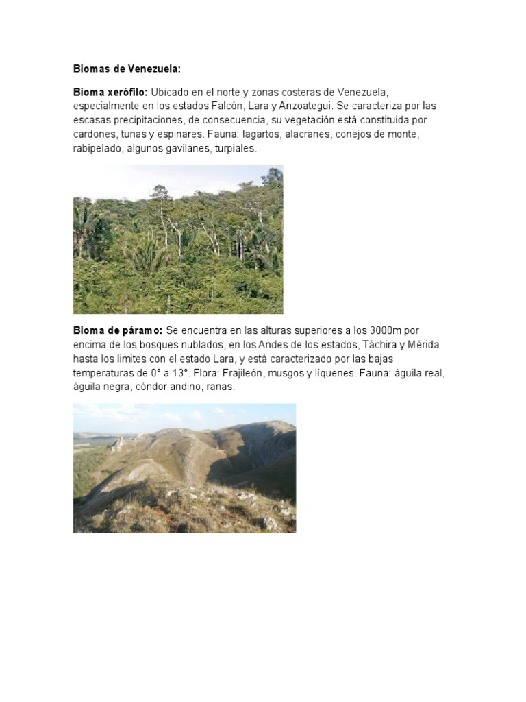Biomas de Venezuela | PDF | Andes | Selva