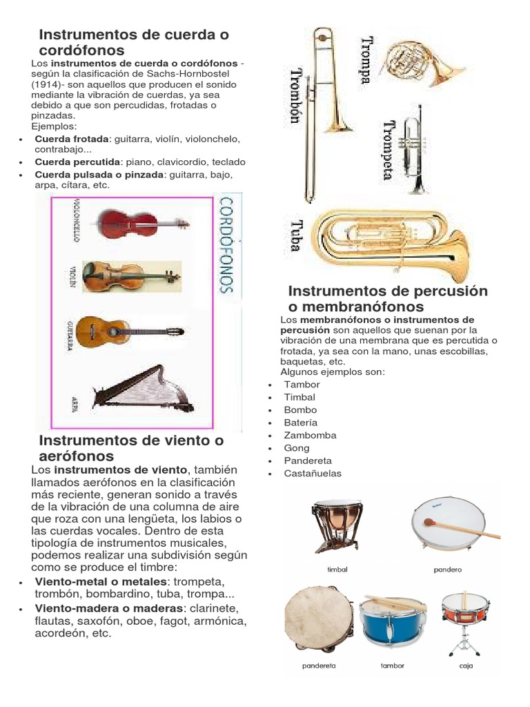 Instrumentos de Cuerda o Cordófonos | PDF | Instrumentos musicales ...