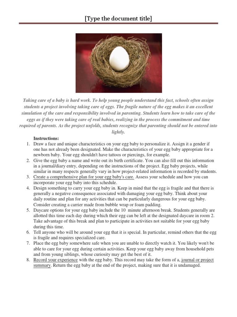 How To Take Care of An Egg Baby Project | PDF | Parenting | Relationships