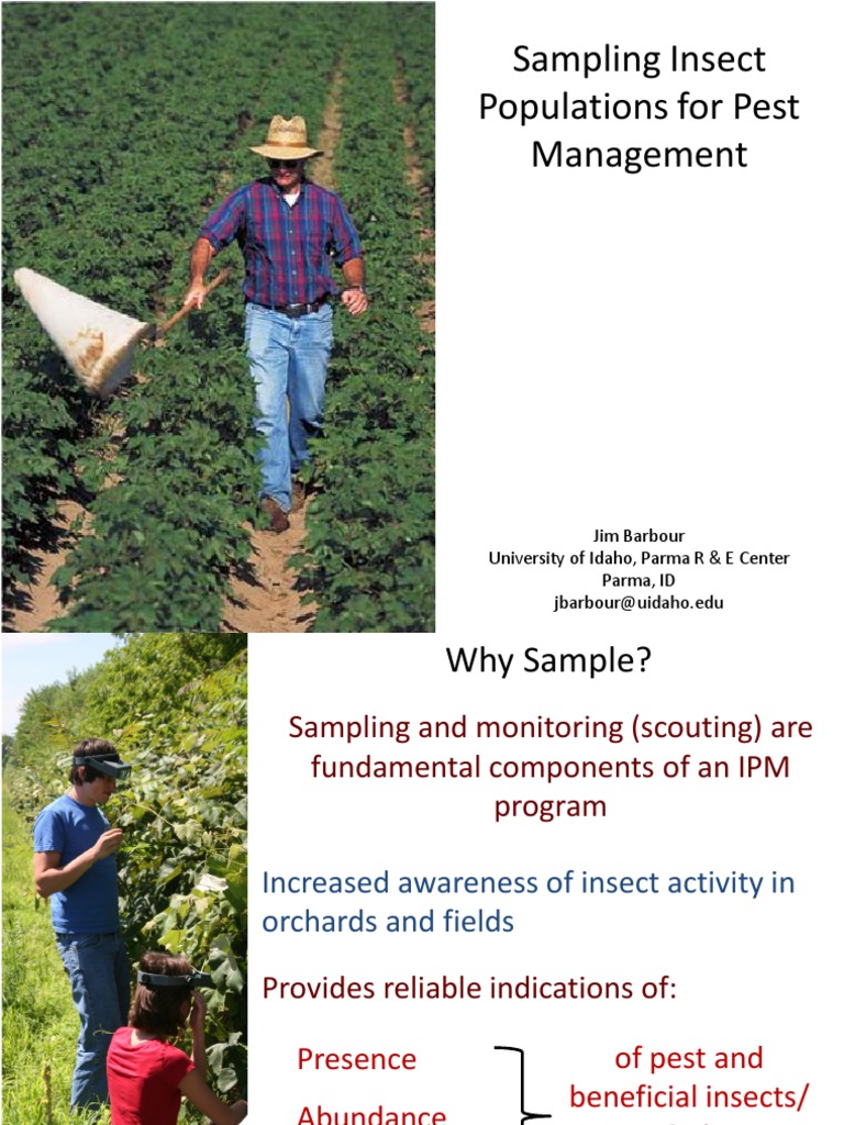 IPM Sampling | PDF | Insects | Mean