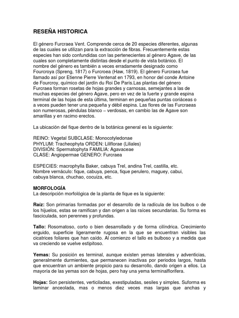 El Fique Es Una Planta Nativa Del Género | PDF | Horticultura y ...
