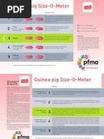 Purina Body Condition Score Diagram | PDF | Abdomen | Pelvis