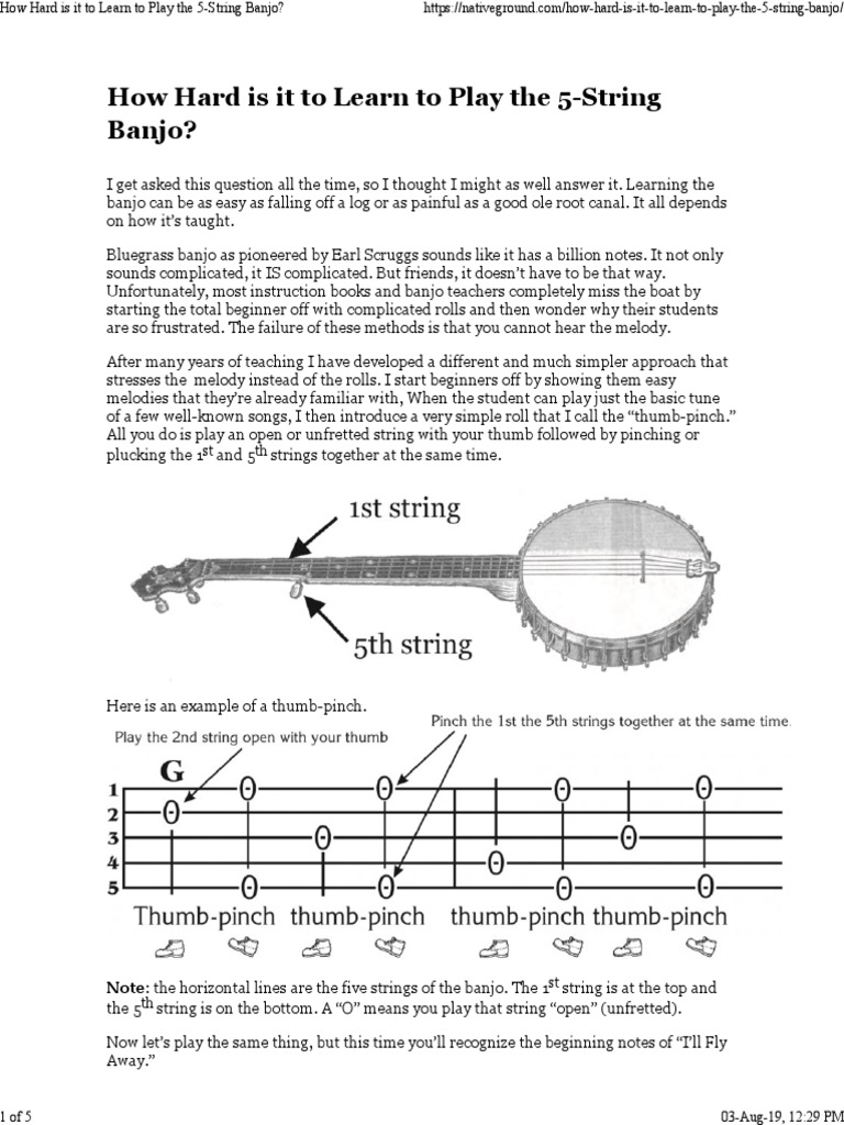 How Hard Is It To Learn To Play The 5-String Banjo | PDF | String ...