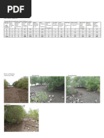Monsoon Lesson Plan | PDF | Language Arts & Discipline | Science ...