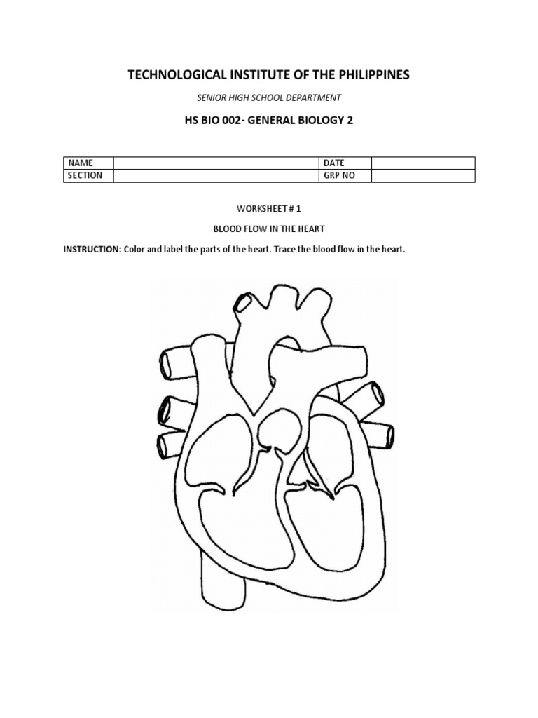 Technological Institute of The Philippines: Hs Bio 002-General Biology ...