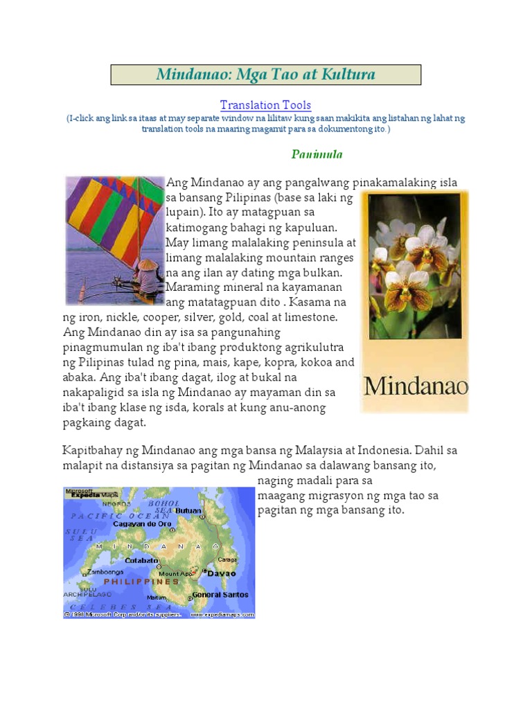 Mindanao Project | PDF