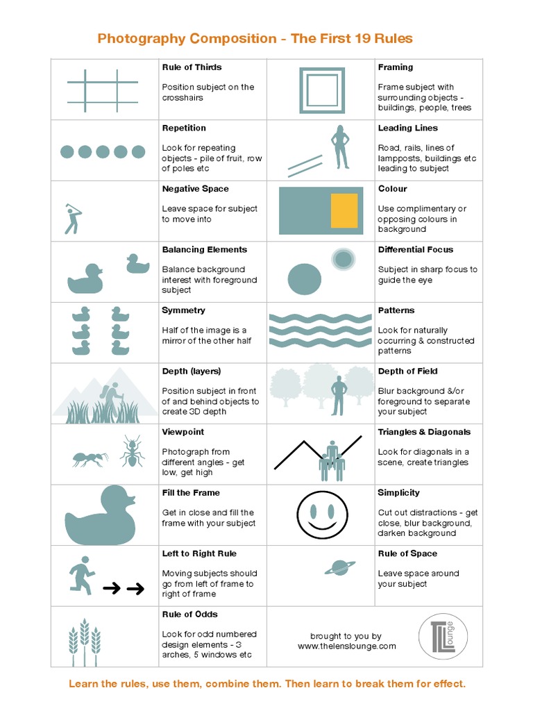 19 Composition Rules | PDF | Art Media | Vision