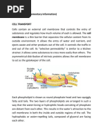 Onion Cell | PDF | Cell (Biology) | Staining