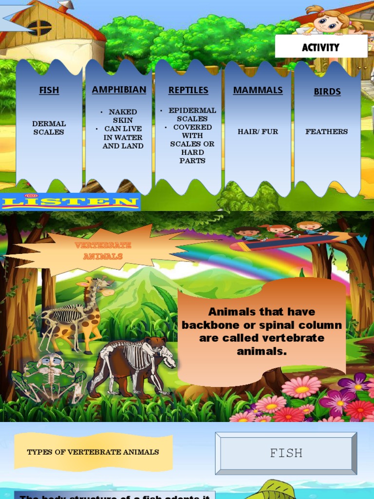 Activity: Fish Amphibian Reptiles Mammals Birds | PDF | Vertebrates | Skin