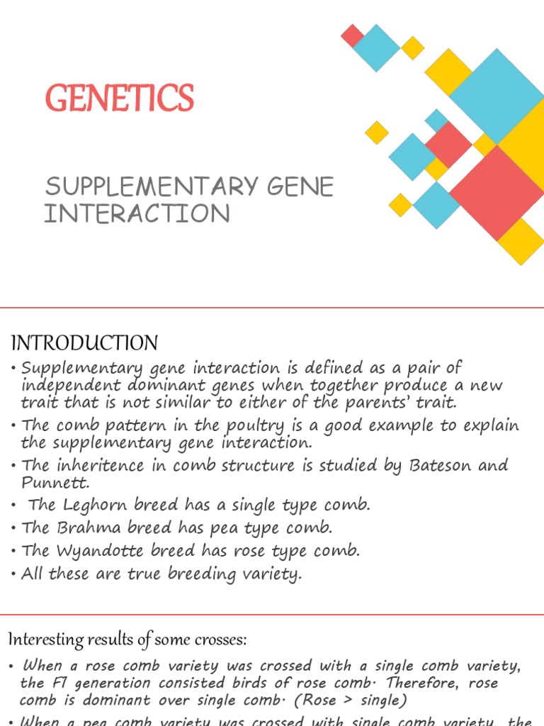 Supplementary Gene Interaction | PDF | Dominance (Genetics) | Genetics