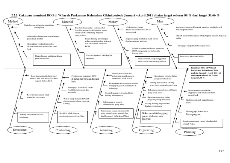 Fishbone BCG Final | PDF
