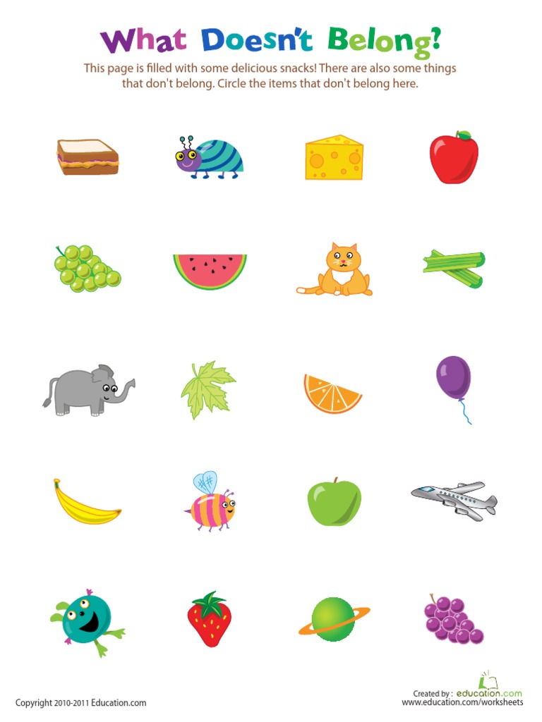 What Doesnt Belong PDF