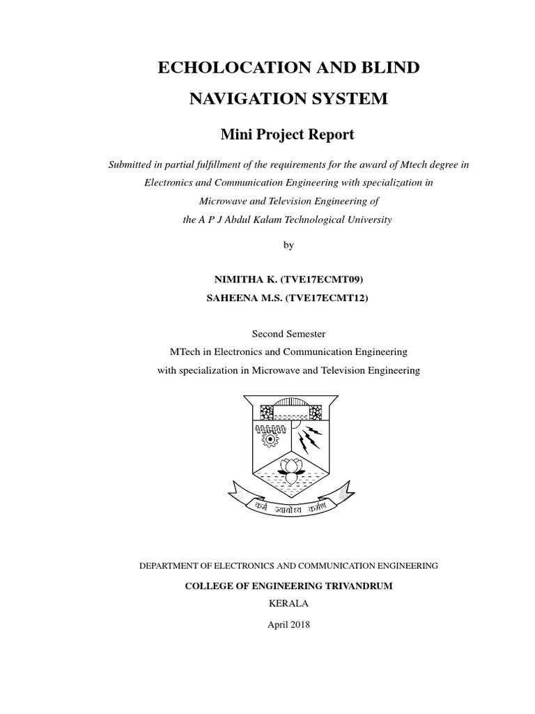 Echolocation and Blind Navigation System: Mini Project Report | PDF | Ultrasound | Visual Impairment