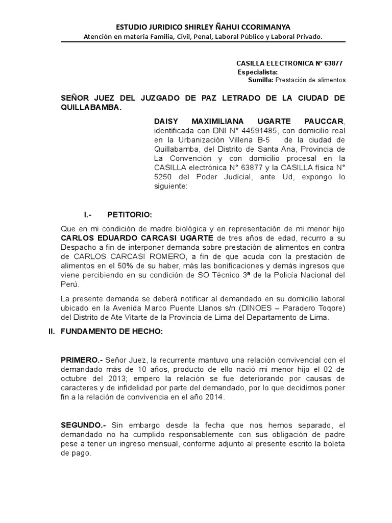 DEMANDA | PDF | Accion legal | Demanda judicial