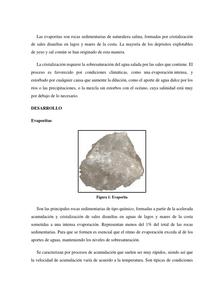 Formación y Tipos de Evaporitas | PDF | Minerales | Cristalización