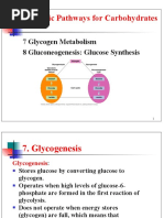 Biosynthesis of Carbohydrates | PDF | Metabolic Pathway | Pyruvic Acid