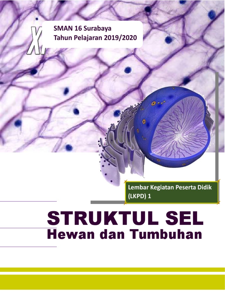 LKPD Struktur Sel Fix | PDF