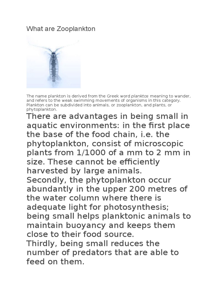What Are Zooplankton | PDF | Plankton | Ecology