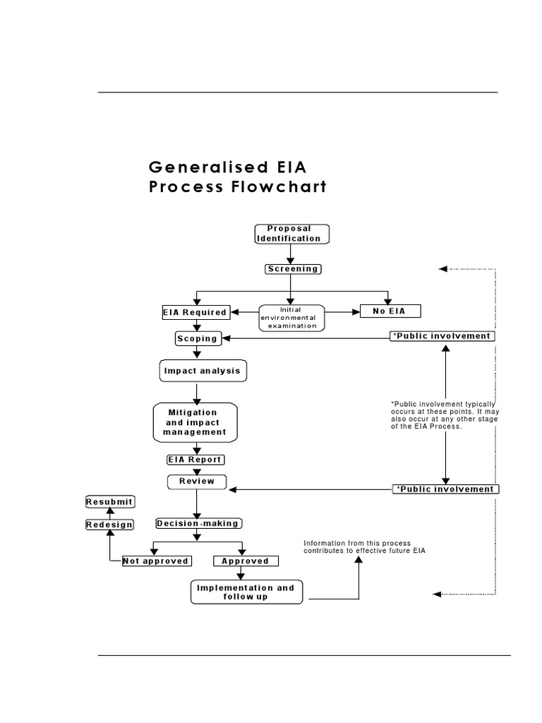 Generalised EIA Process Flowchart: Initial Environmental Examination | PDF