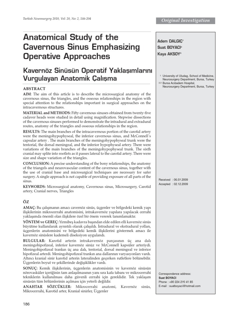 Cs Operative App | PDF | Anatomical Terms Of Location | Common Carotid ...