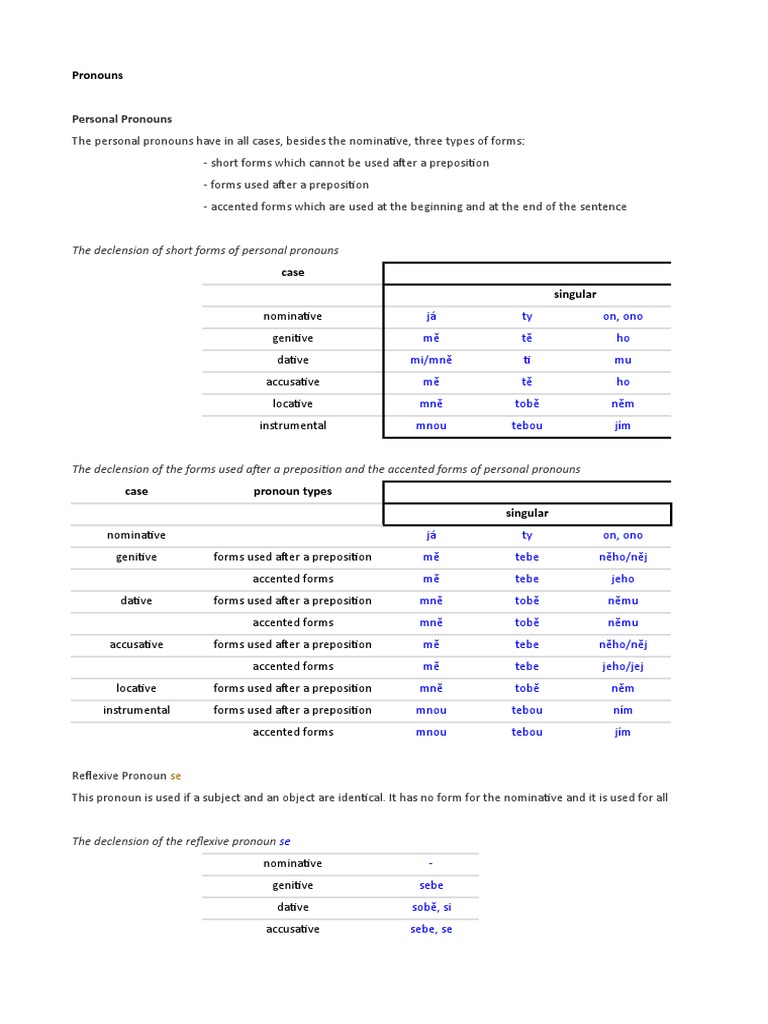 Czech Pronouns | PDF