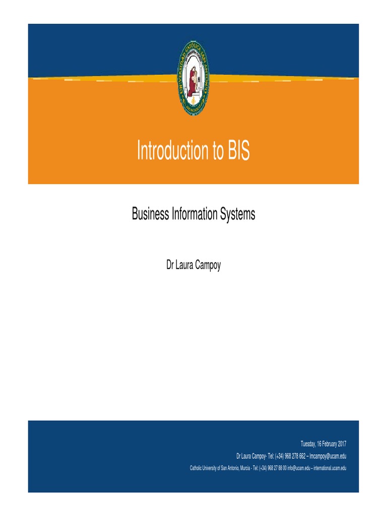 I D I BIS Introduction To BIS: Business Information Systems | PDF ...
