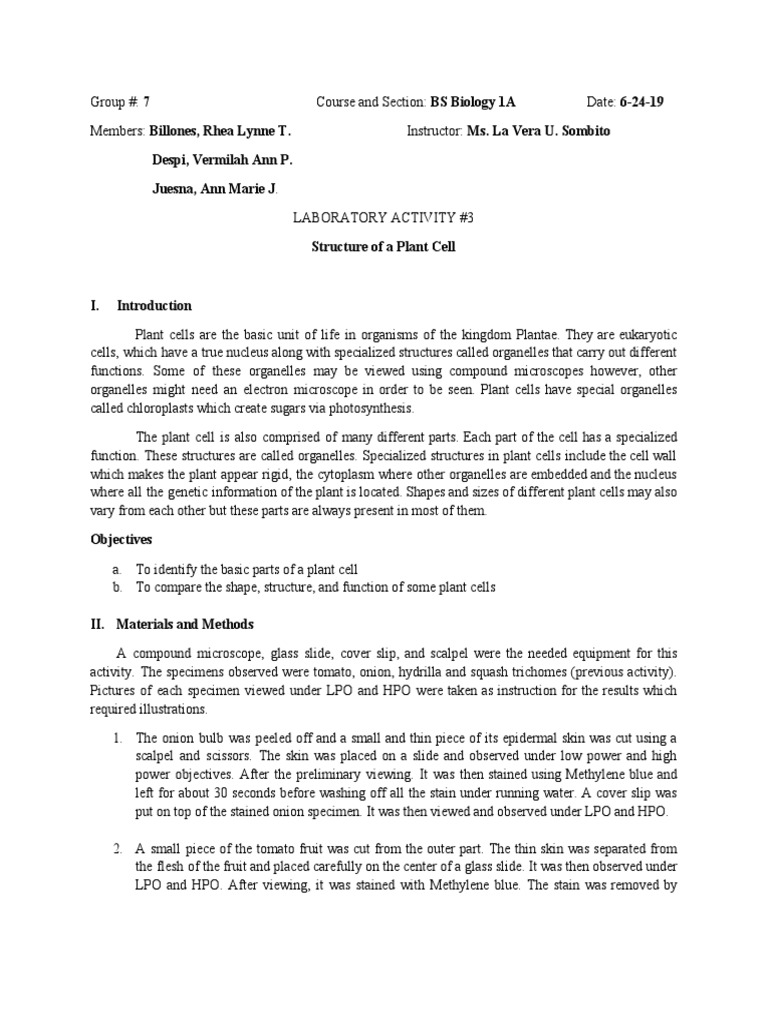 Plant Structure Lab Report 3.pdf | Cell (Biology) | Staining