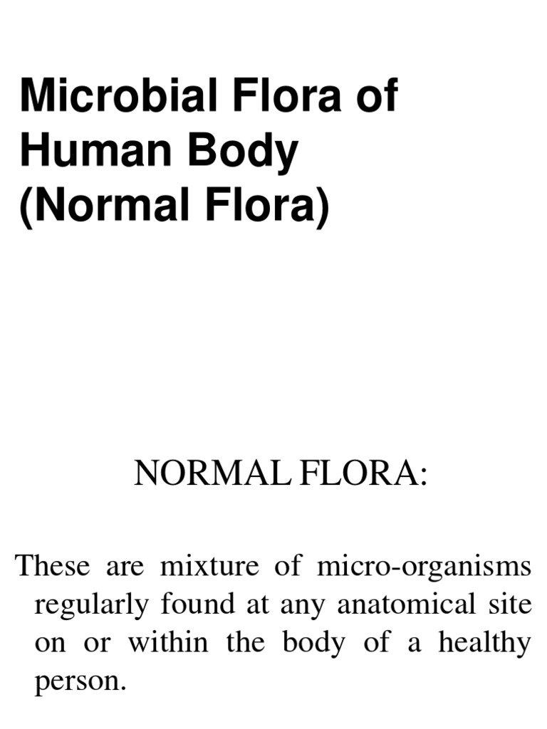 Microbial Flora of Human Body (Normal Flora) | PDF | Streptococcus ...