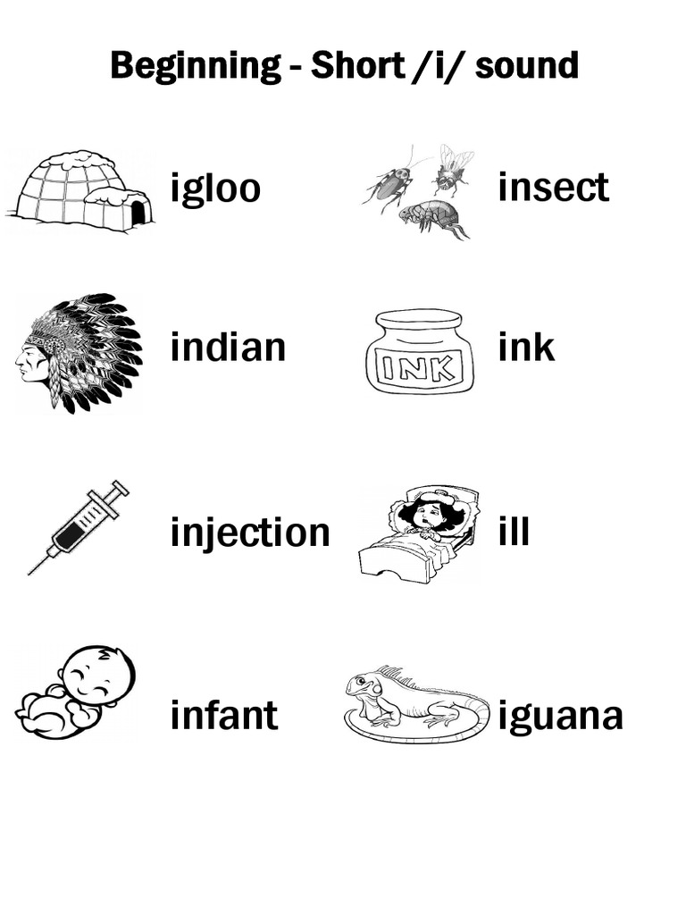 Igloo Insect: Beginning - Short /i/ Sound | PDF
