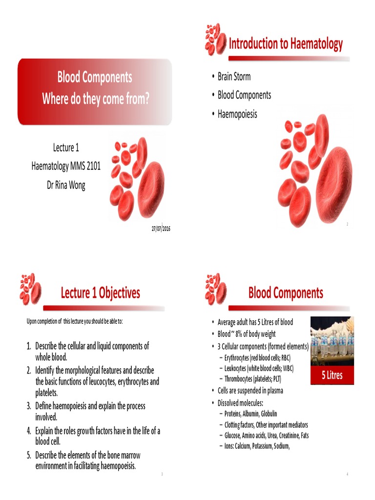 Blood Components Where Do They Come From?: Introduction To Haematology ...
