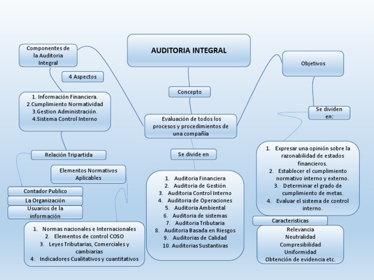 Mapa Conceptual Auditoria Integral | PDF