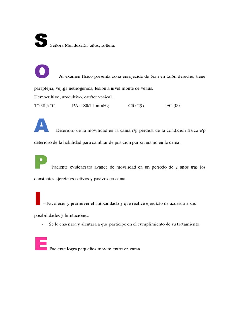 SOAPIE. Adulto | PDF