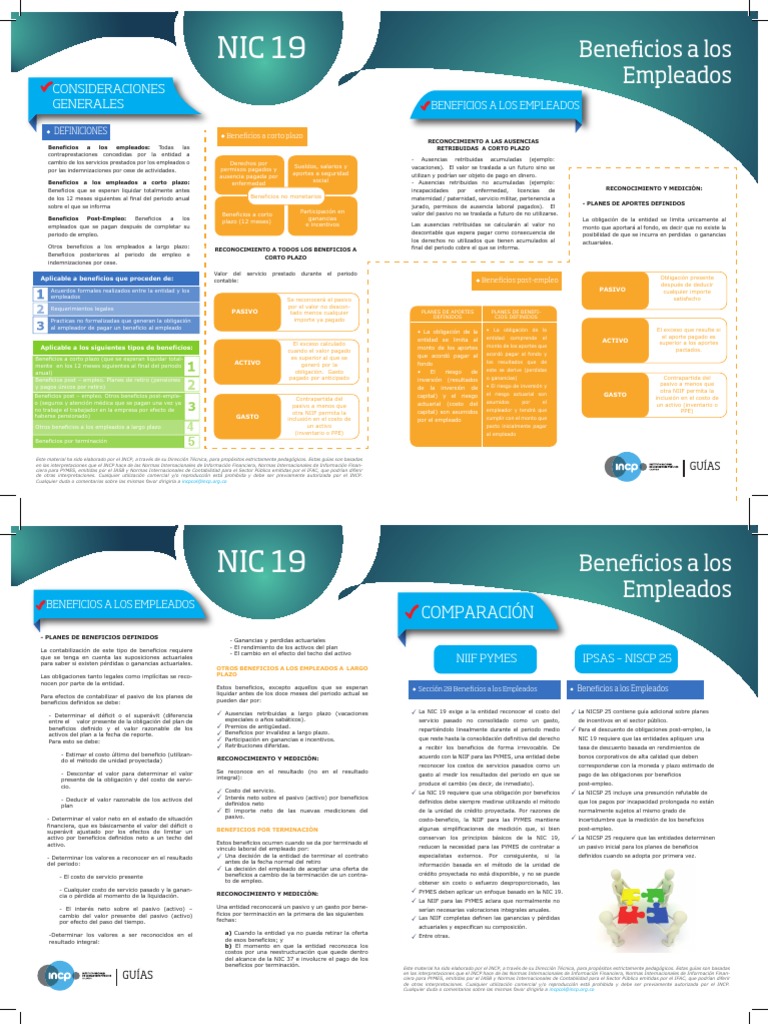 Nic 19 | Descargar gratis PDF | normas internacionales de INFORMACION ...