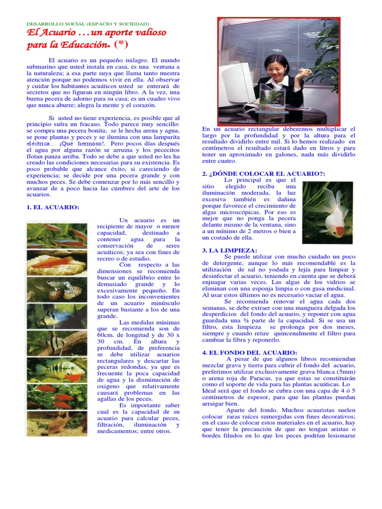 Guía Básica para Acuarios en Casa | PDF | Acuario | Agua