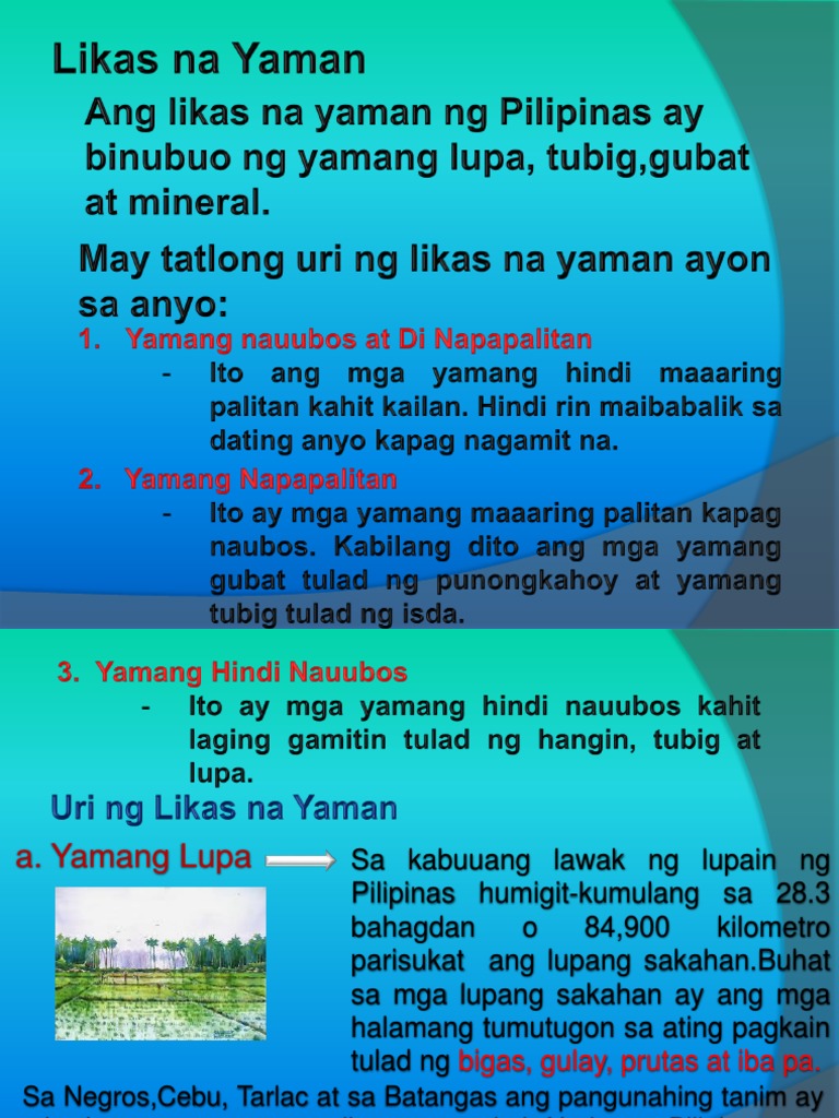 Yamang Gubat Sa Pilipinas