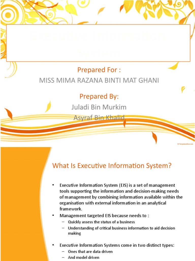 Executive Information System: Miss Mima Razana Binti Mat Ghani | PDF ...