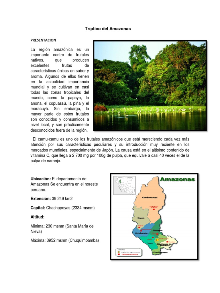 Tríptico Del Amazonas | Selva amazónica | Perú