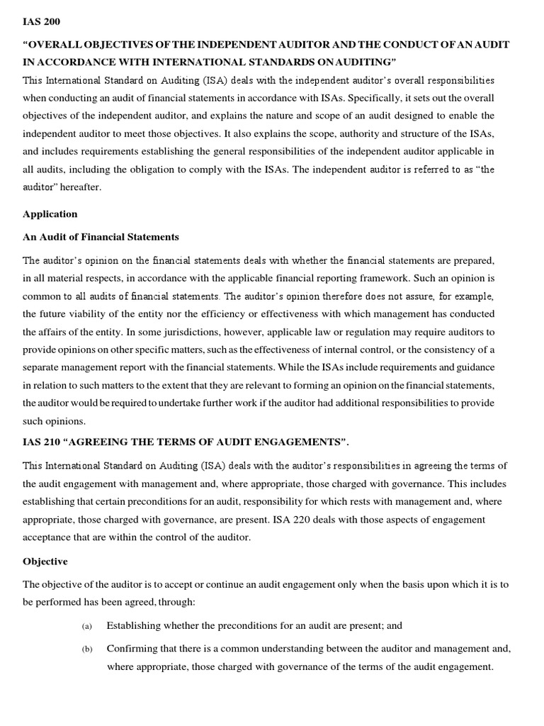 CW Auditing | PDF | Going Concern | Financial Audit