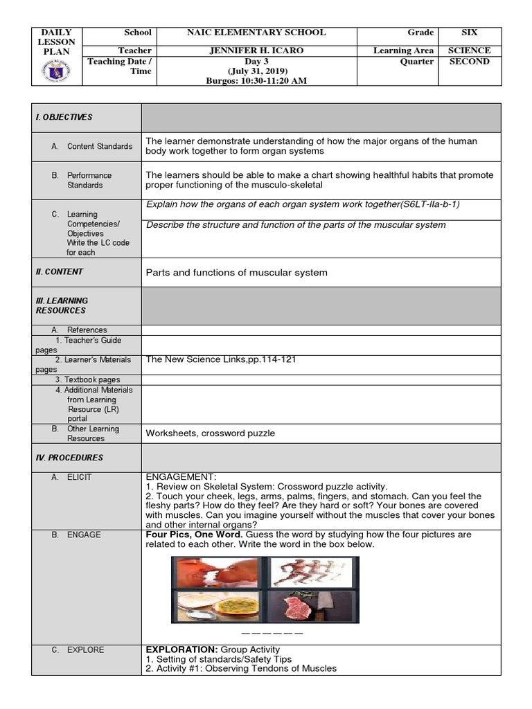 I. Objectives: Parts and Functions of Muscular System | PDF | Muscle ...