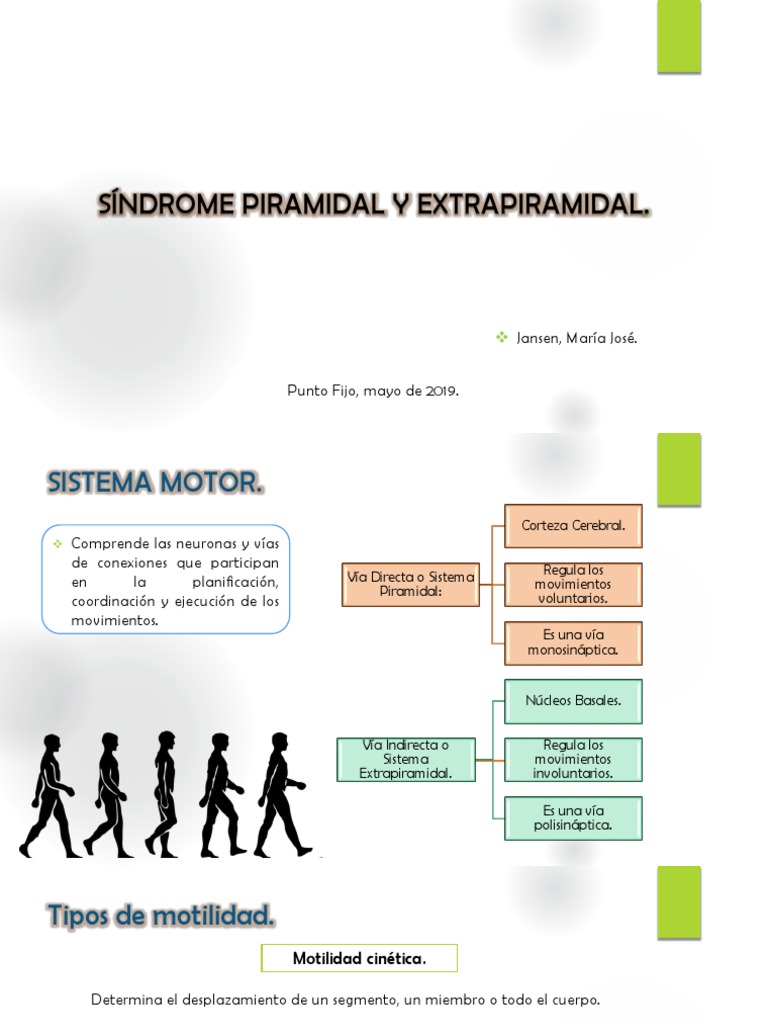 Presentación Vía Piramidal y Extrapiramidal | PDF | Sistema nervioso ...