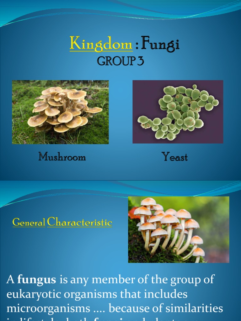 Kingdom Fungi New Microsoft Office PowerPoint Presentation | PDF ...