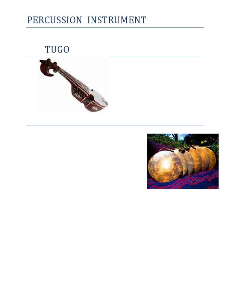 Tugo: A Unique Percussion Instrument | PDF