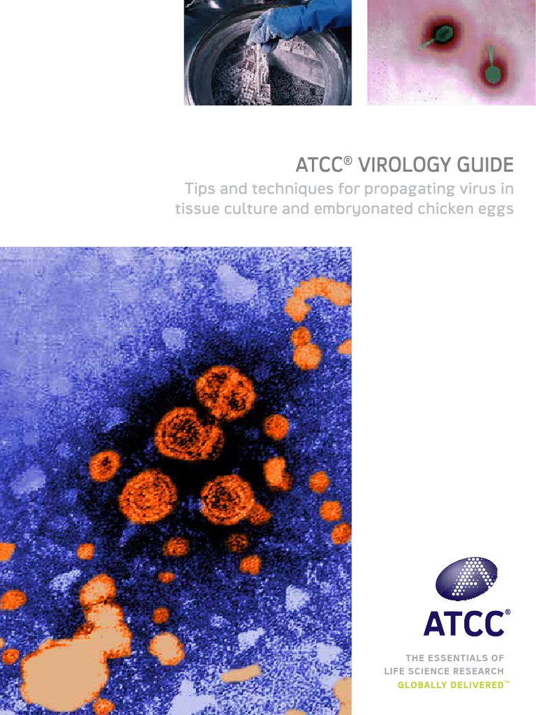 Virology PDF | PDF | Virus | Cell Culture