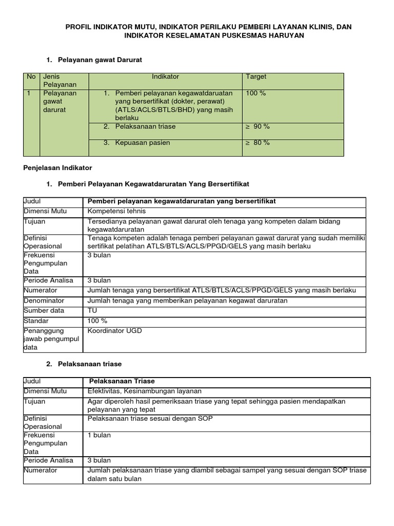 Profil Indikator Mutu Puskesmas Haruyan | PDF